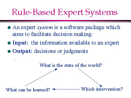 Rule-Based Expert Systems